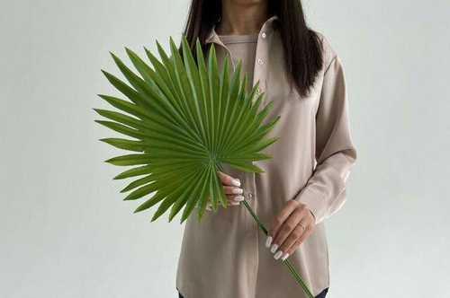 Пальма лист растения искусственные для фитостен