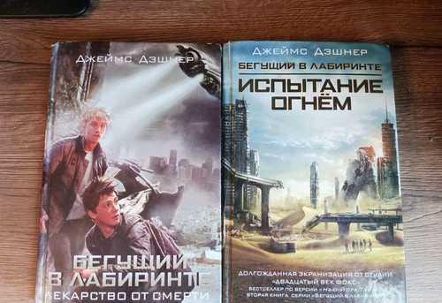 Бегущий в лабиринте (2 книги)