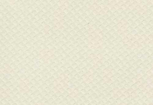 Carbonium white