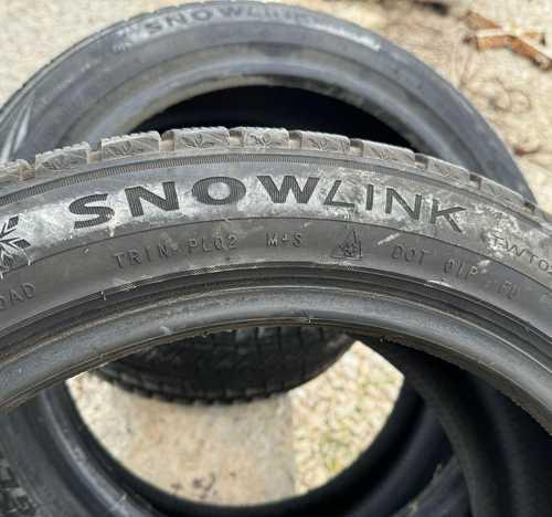 Triangle Snowlink TWT02 245/45 R19