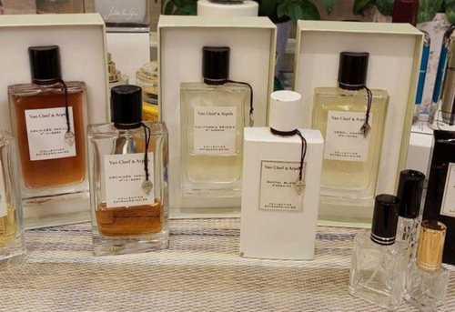 Van cleef santal blanc neroli amara patchouli