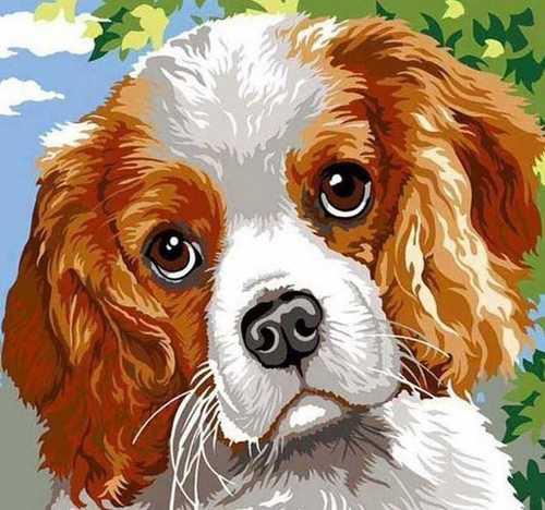 Картина по номерам Paintboy "Спаниель" 20*30 см