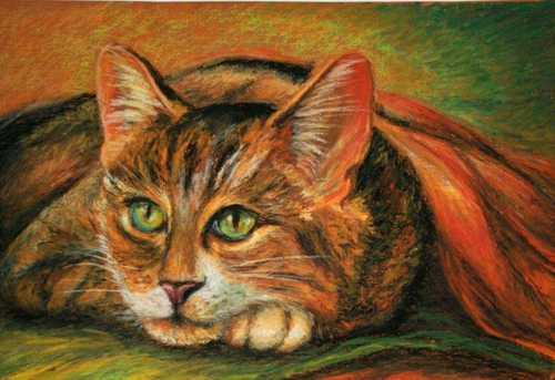 Картина с котом пастелью