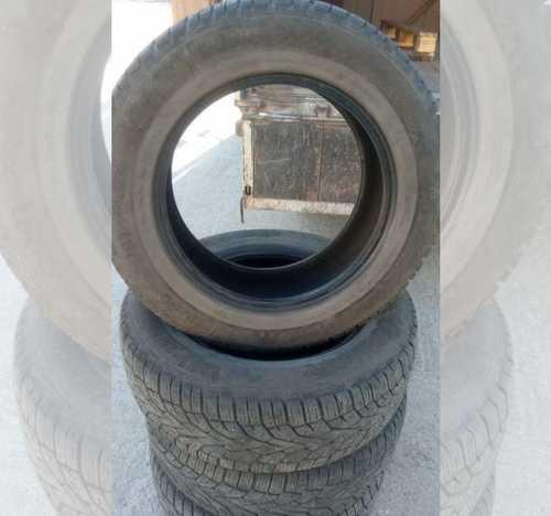 Gislaved Nord Frost Van 225/65 R17