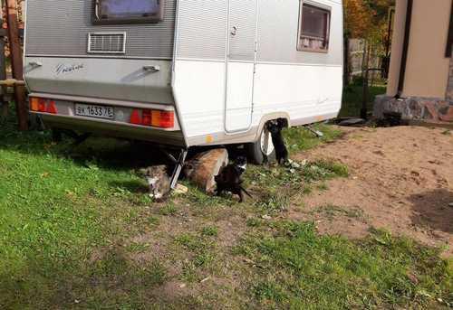 Прицеп дом на колесах бу