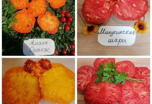Семена сортовых крупноплодных томатов
