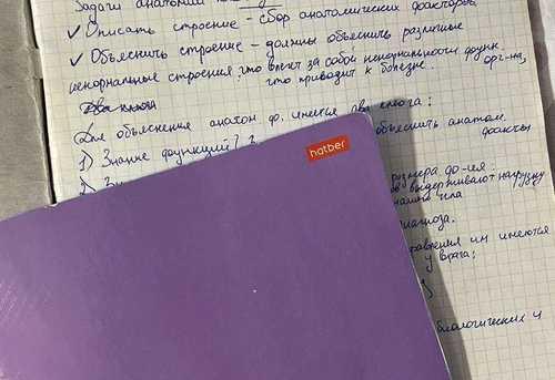 Лекции по анатомии