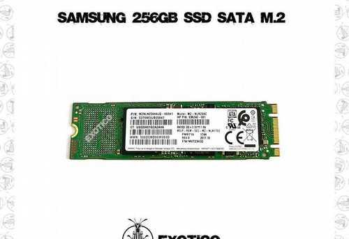 Samsung 256GB SSD SATA M.2