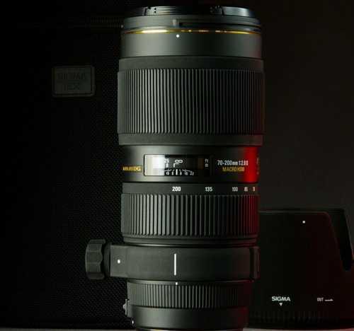 Canon Sigma 70-200 mm f/2.8 EX Macro HSM II