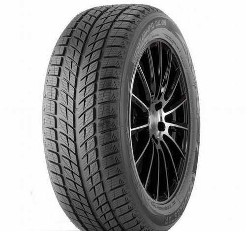 DoubleStar DW09 245/40 R18