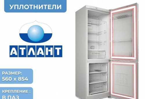 Уплотнитель Холодильника Атлант 560х854мм