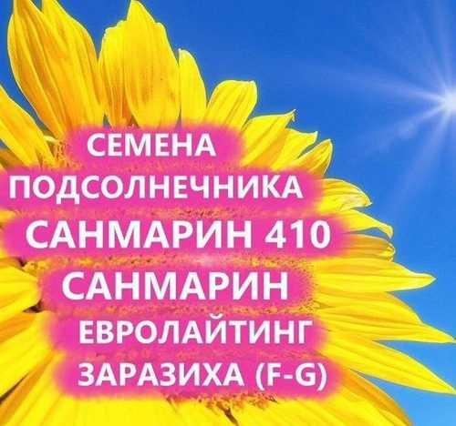 Семена подсолнечника Санмарин 410 Гибрид, Ставропо