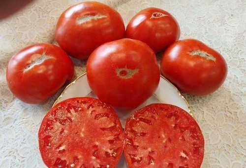 Семена домашних помидор СССР розовые и красные