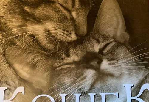 Большая книга кошек