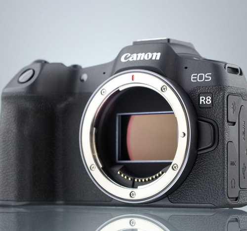 Canon EOS R 8 Body