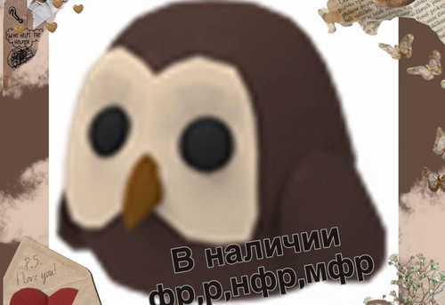 Сова / owl фр,р,нфр,мфр адопт ми adopt me