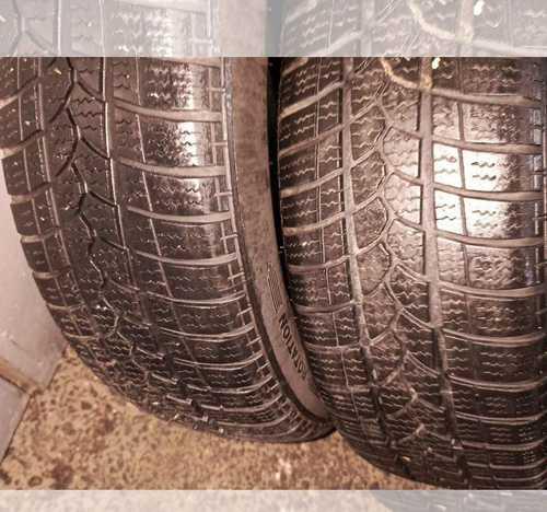 Tigar Winter 1 185/65 R15 92T