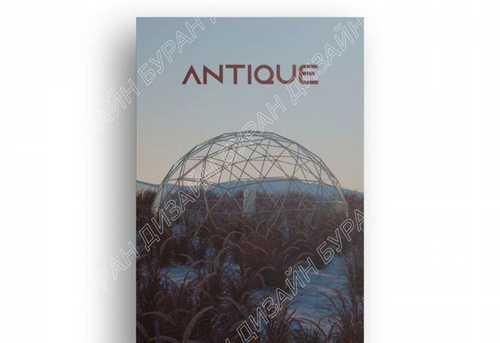 Постер космический 60х90 см «Antique»