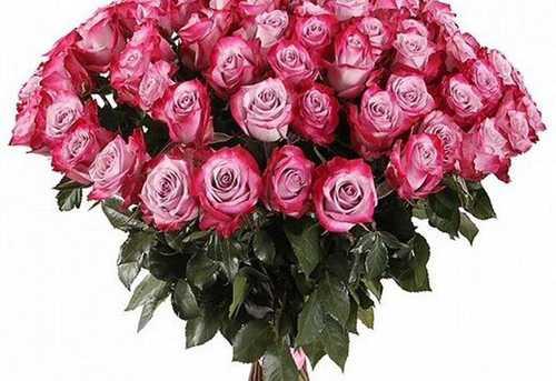 Букет из 51 розы «Сакура» 40см