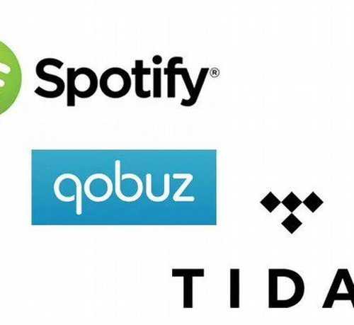 Подписка Qobuz Tidal Spotify (пожизненно)