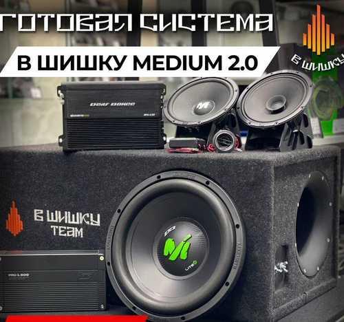 Комплект акустики В Шишку Medium 2.0