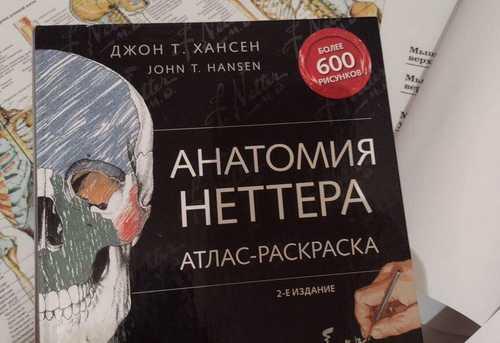 Книга анатомия неттера атлас раскраска и Плакаты