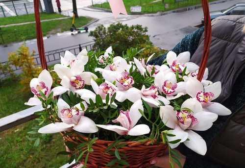 Букеты, орхидея, корзина орхидей