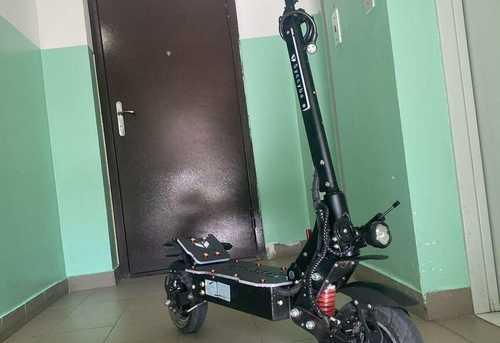 Syccyba currus m10