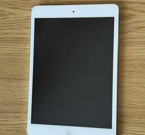 iPad mini