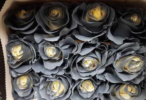 Серые Розы Эквадор, букет необычных Роз
