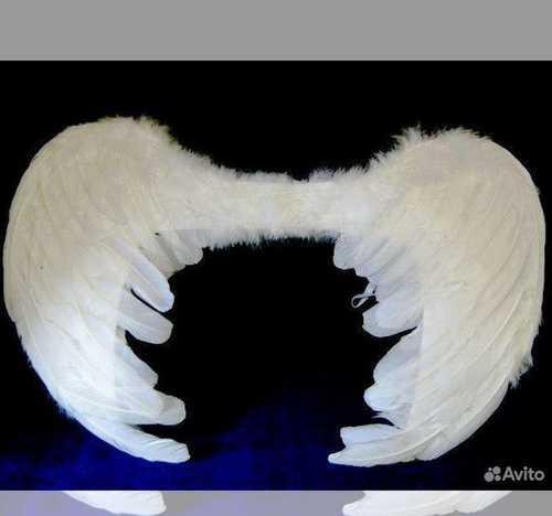 Крылья перьевые белые, (перья, картон, резинка), р