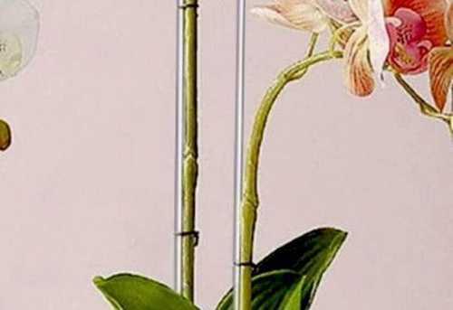 Опора акриловая для орхидей