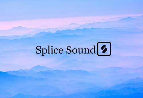 Splice Sound+ семплы +100 credits каждый месяц