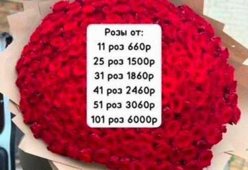 Розы 101