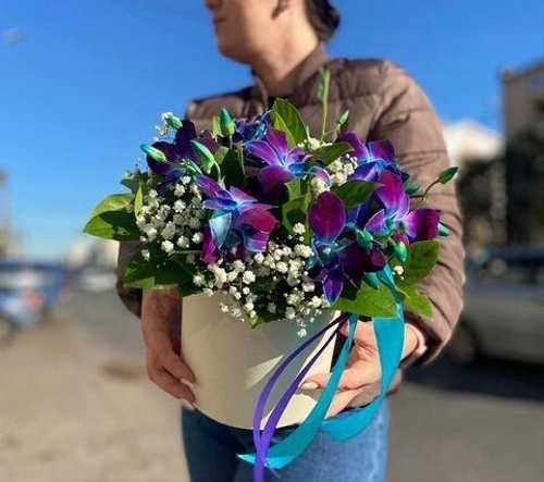 Космические Композиции из Дендробиума