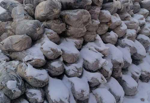 Отработанные грибные блоки 5-8 кг