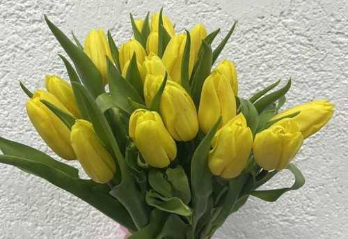 Крупные тюльпаны к 8 марта оптом и розница