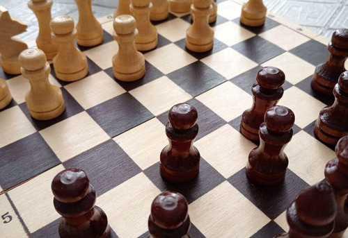 Шахматы и шашки дерево