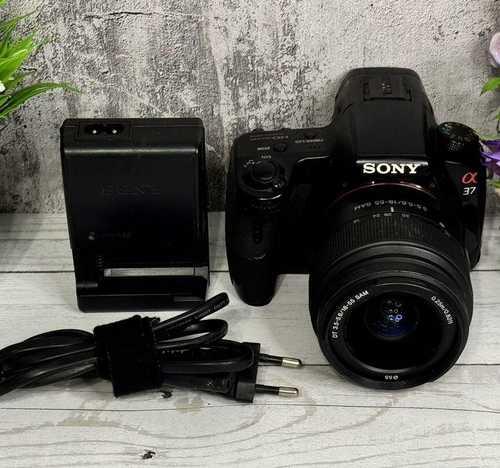 Зеркальный фотоаппарат Sony A37   обьектив