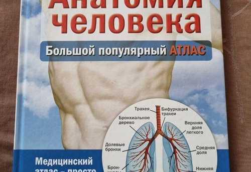 Атлас: Анатомия человека