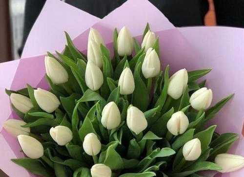 25 Тюльпанов. Цветы и букеты с доставкой на дом с