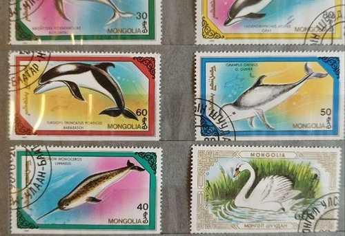 Альбом марок фауна