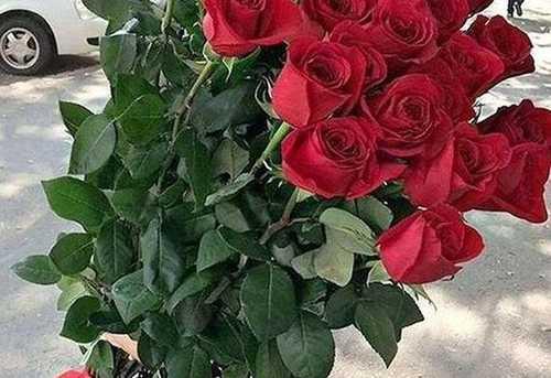 Метровые розы Доставка цветов