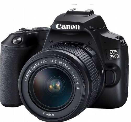 Зеркальный фотоаппарат Canon EOS 250D Kit EF-S 18-55 DC III