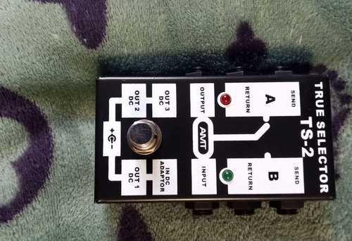 AMT Electronics True Selector TS-2