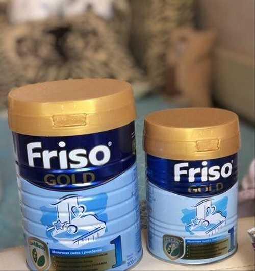 Friso gold 1