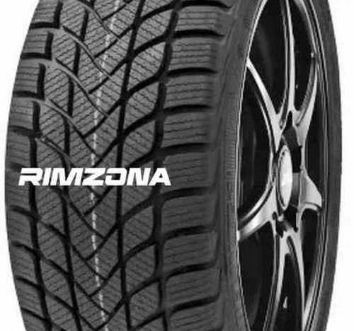 Delinte Winter WD6 225/50 R17 98H