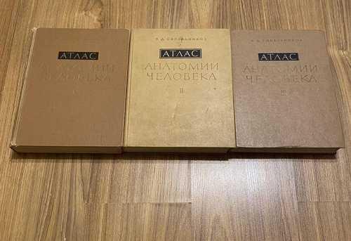 Атлас анатомии человека Синельников