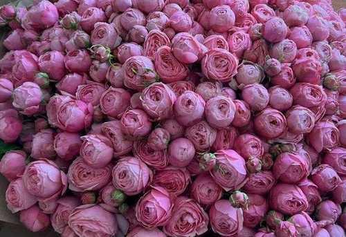 Кустовые пион.розы букет,цветы букеты, доставка
