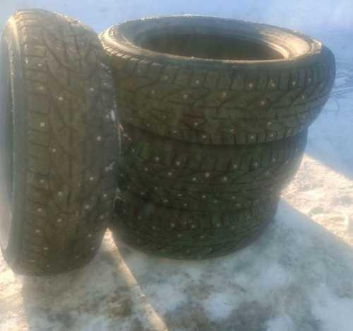 Tigar Winter 185/65 R15 92T